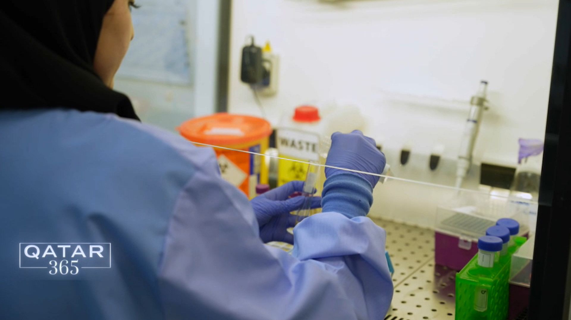 A research revolution: science, genes, and sport in Qatar | Euronews