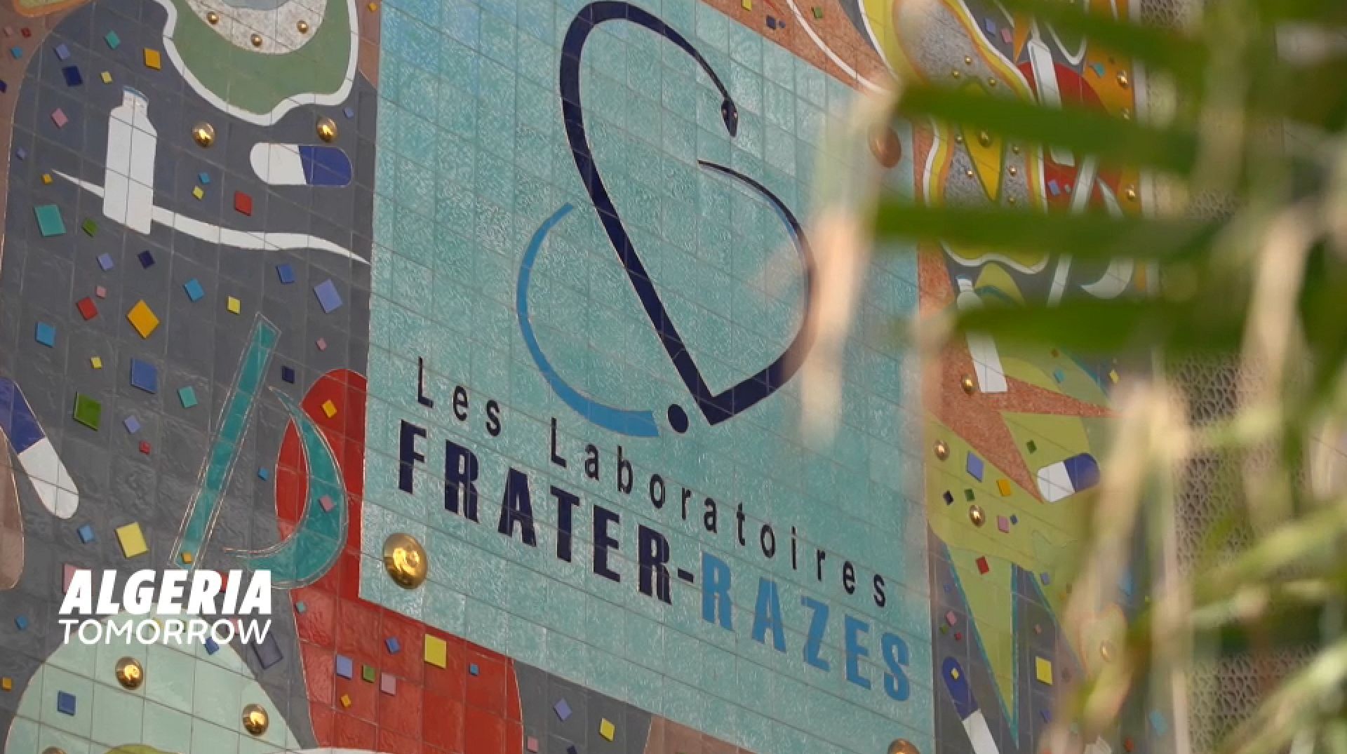 Argelia, la locomotora del sector farmacéutico en África | Euronews