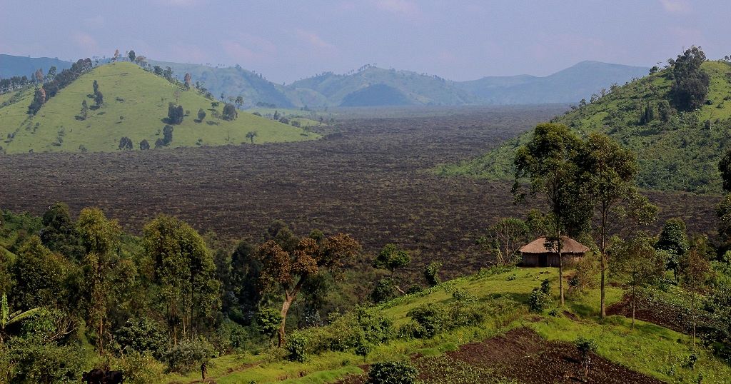 Scientists fight to protect therainforest in DRC | Africanews