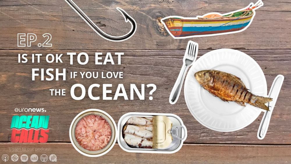 Is it OK to eat fish if you love the ocean? We asked the experts ...