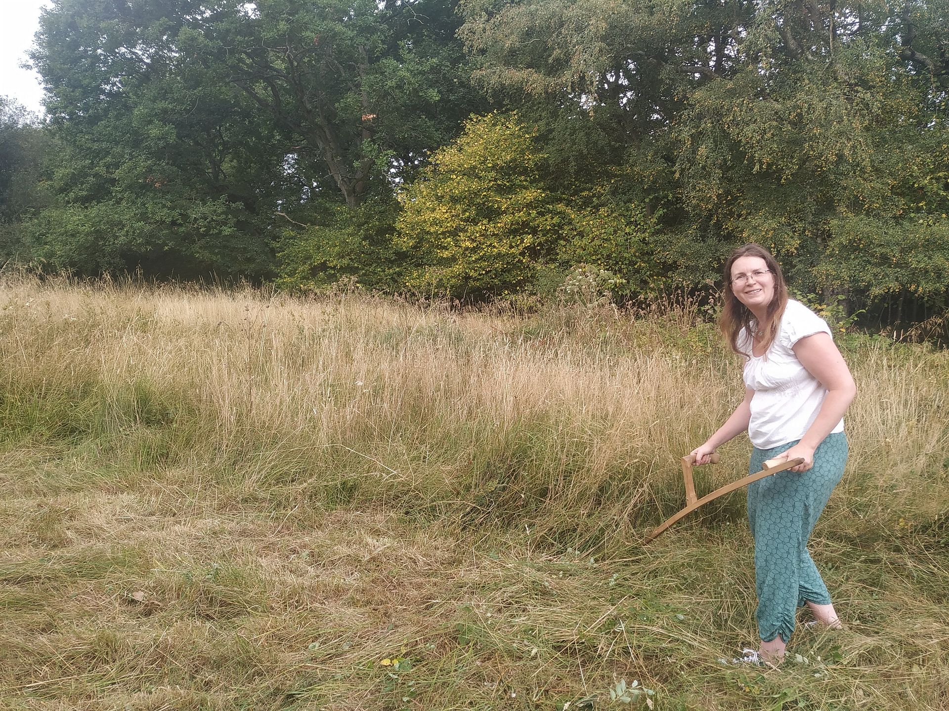 What is scything? This ancient farming skill is making a comeback in ...