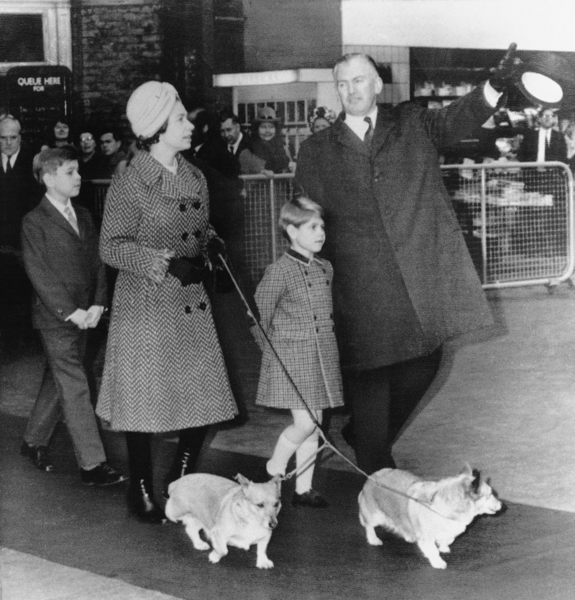 Corgis and dorgis: Who will take care of the Queen's beloved pets ...