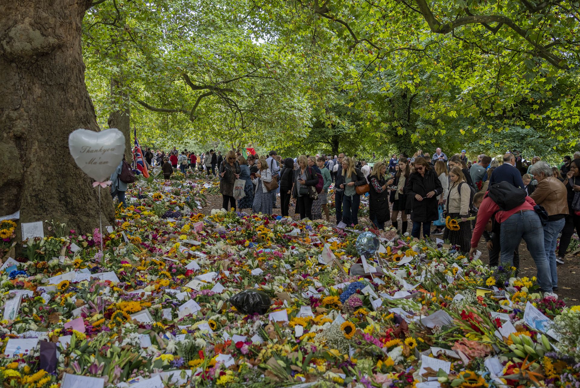 The week in pictures: Dreadful discoveries in Ukraine, Queen tributes ...