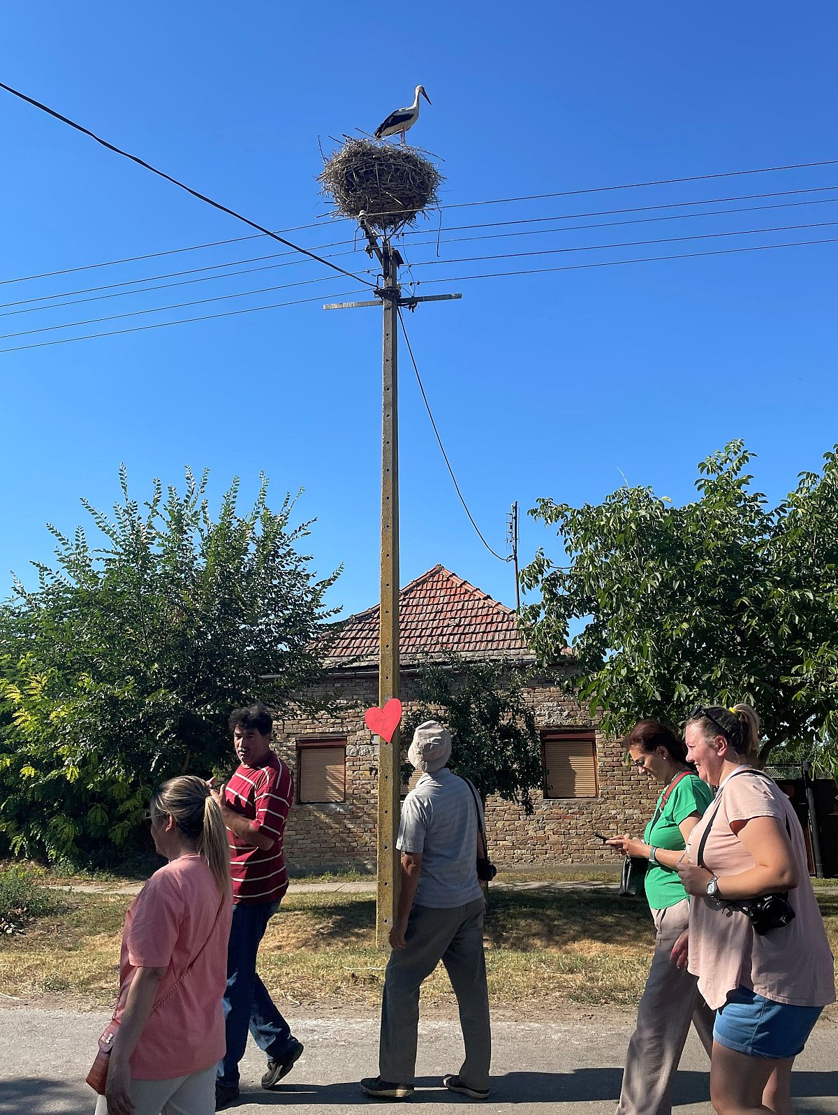 Meet the villagers who have formed deep bonds with migrating white ...