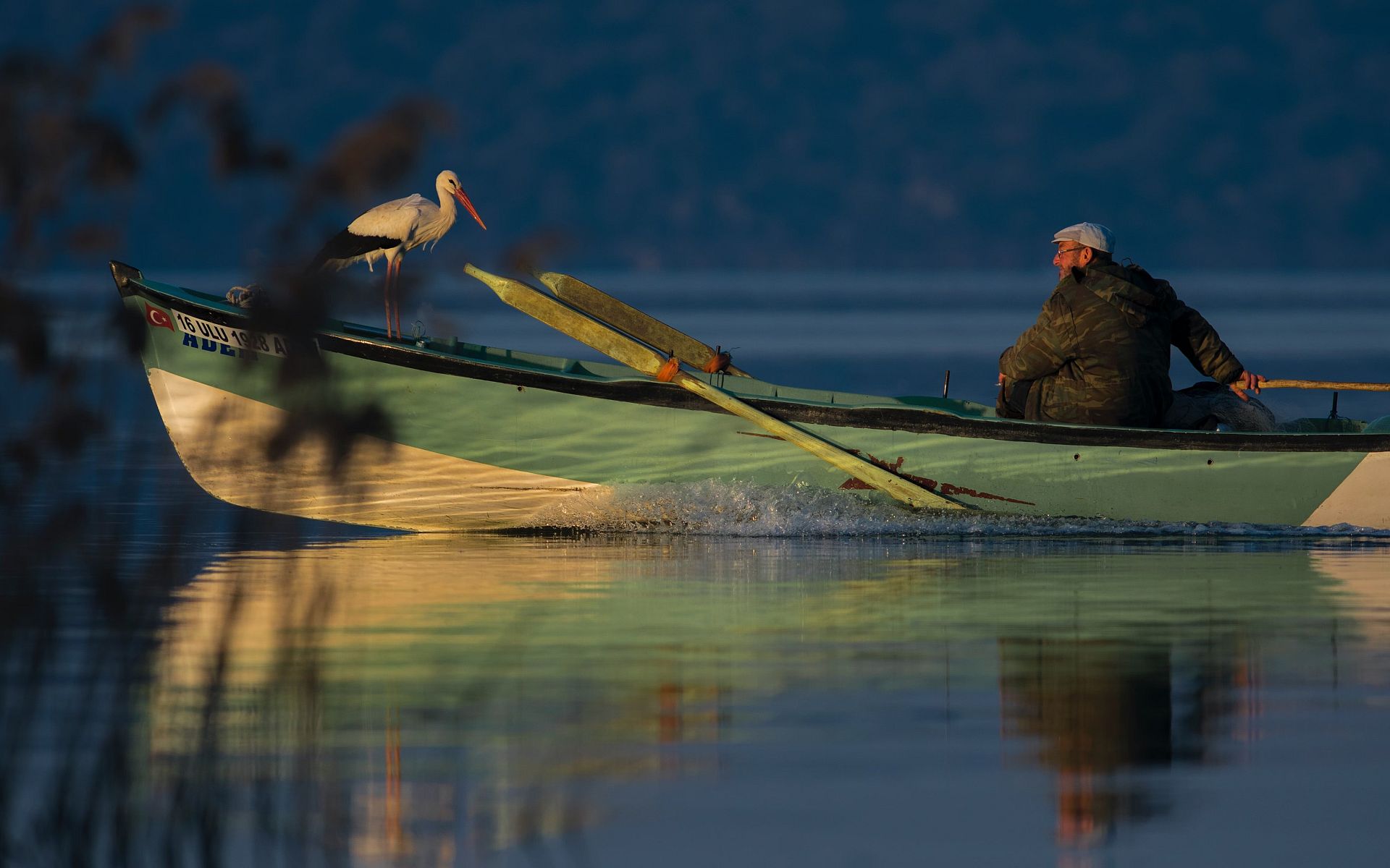 Meet the villagers who have formed deep bonds with migrating white ...