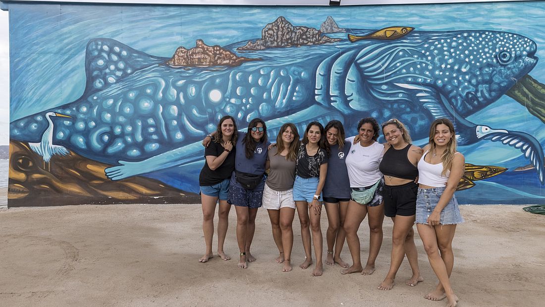 Meet the women saving sharks off the coast of Mexico | Euronews