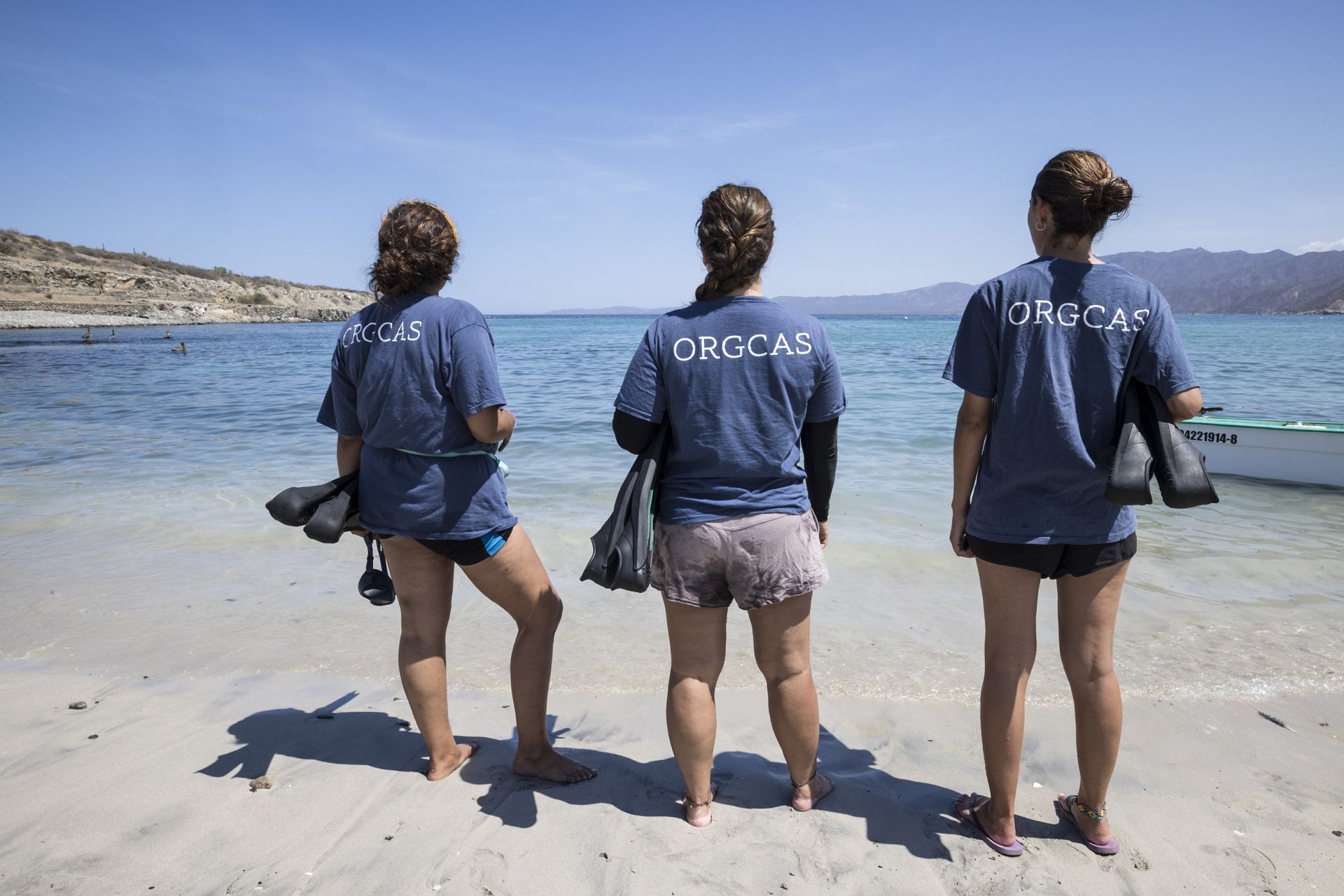 Meet the women saving sharks off the coast of Mexico | Euronews