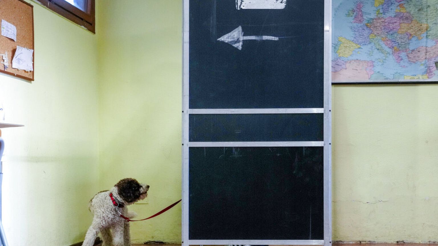 Elezioni in Basilicata: seggi aperti dalle 7 alle 15, domenica ...