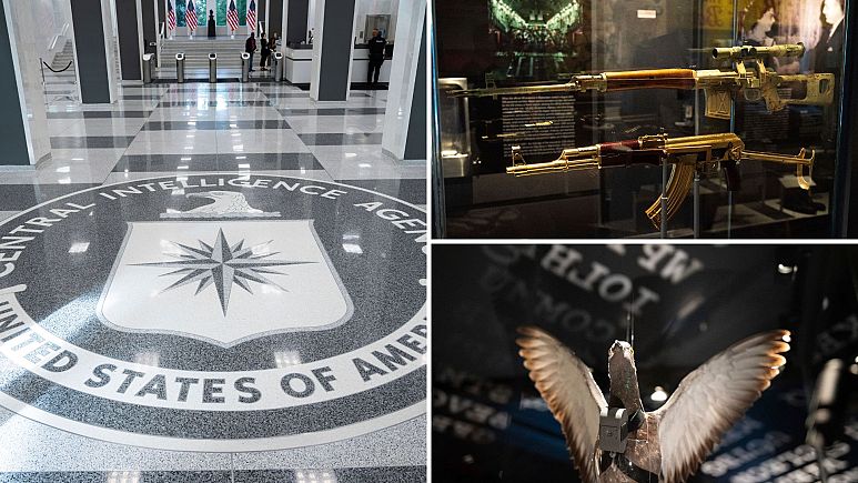 From pigeon spy cameras to exploding martini glasses: Inside the CIA's ...