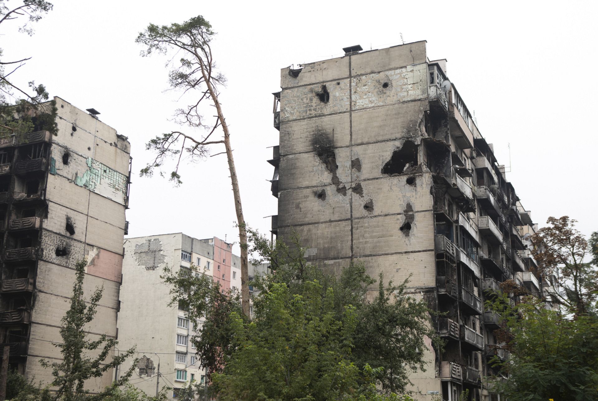 "Genug geweint": Familie Akulenko will wieder im zerstörten Irpin in ...