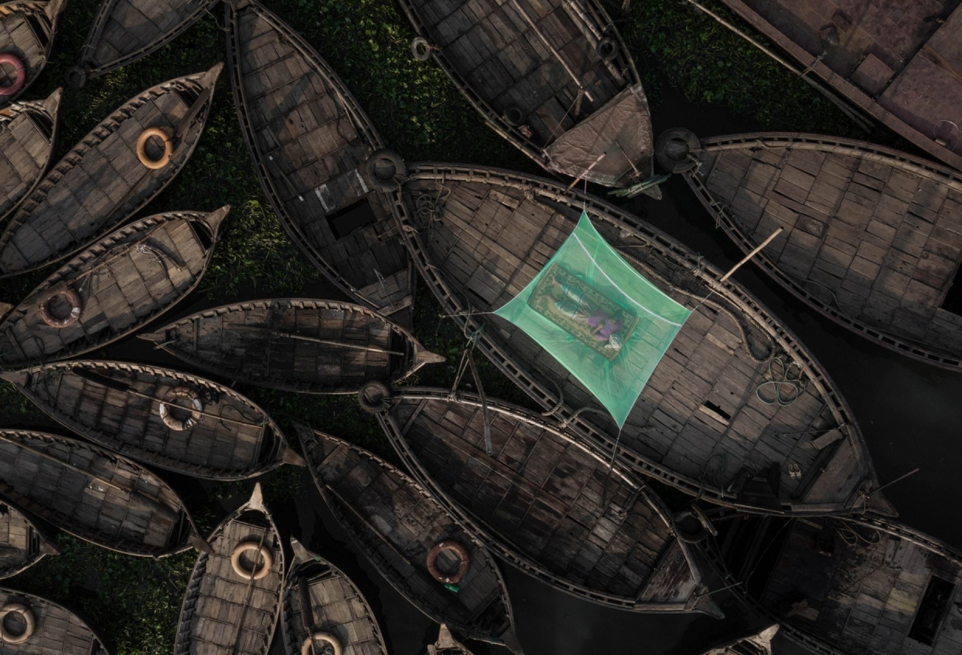 A fiery volcano, a flamboyance of flamingos and a daring bride: 2022’s ...