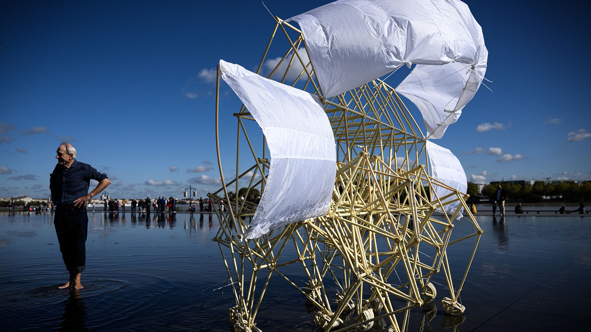 Vidéo. Theo Jansen, "le sculpteur de vent" expose ses créatures en France | Euronews