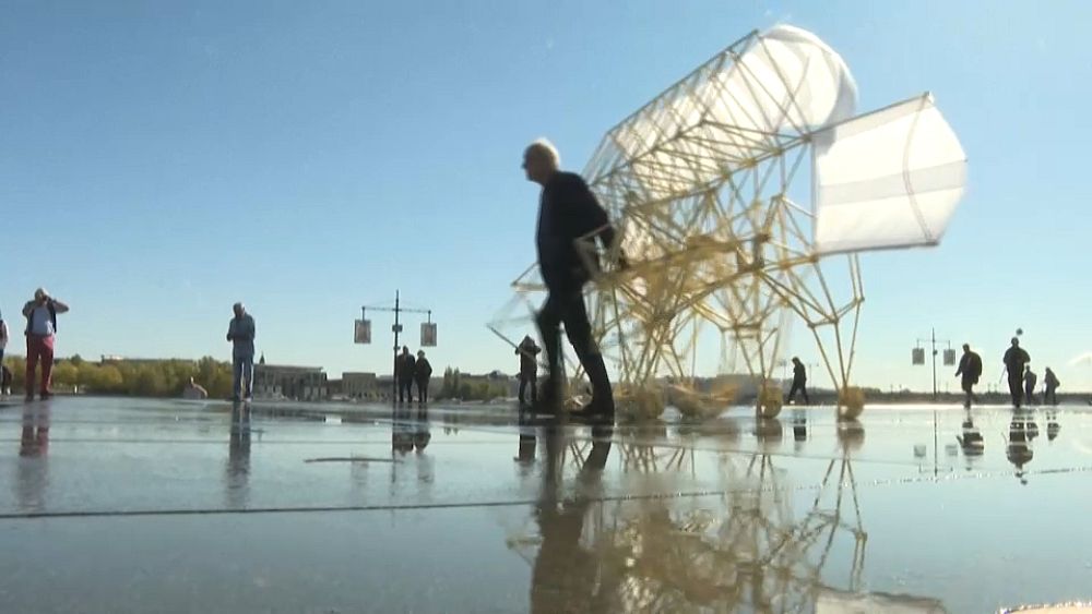 Theo Jansens Maschinenwesen am Strand | Euronews