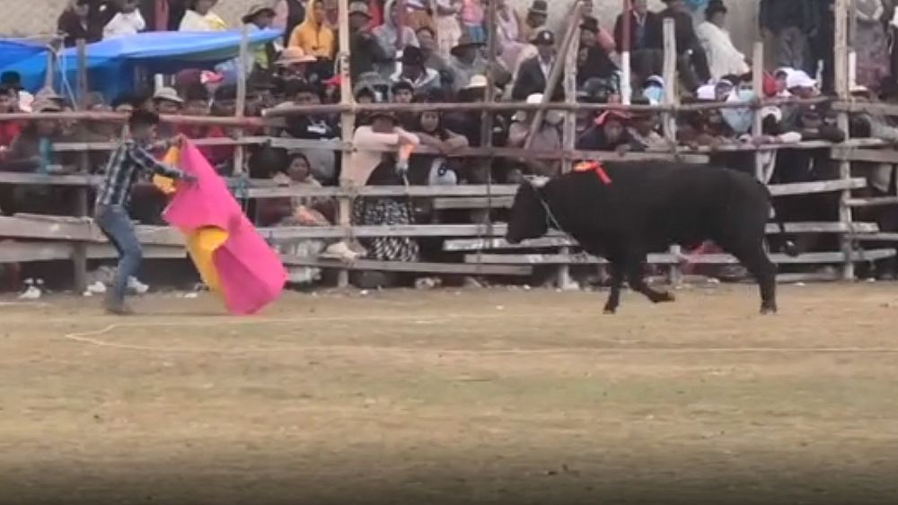 VIDÉO : À Huarina, le plus grand festival de tauromachie de Bolivie ...