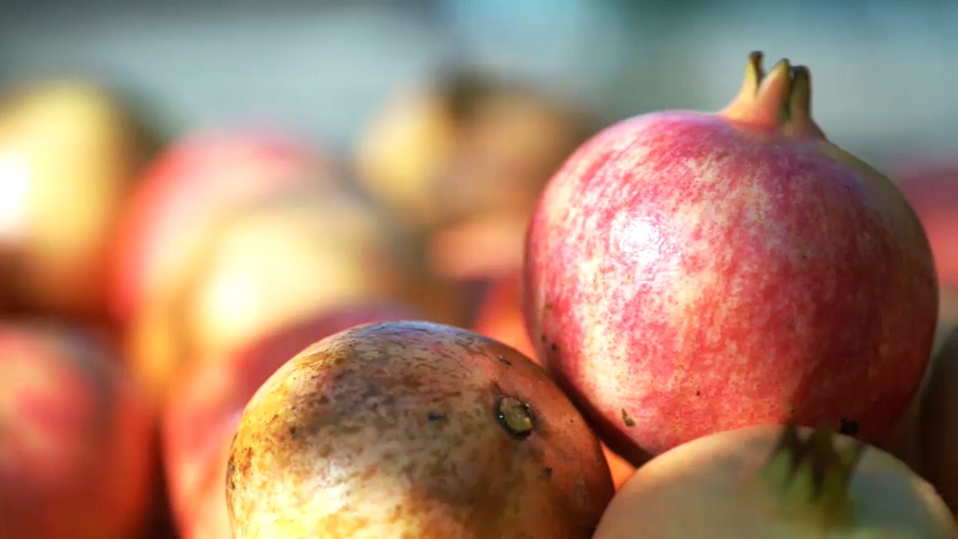 Spain's agricultural revolution: mouth-watering fruit and vegetables ...