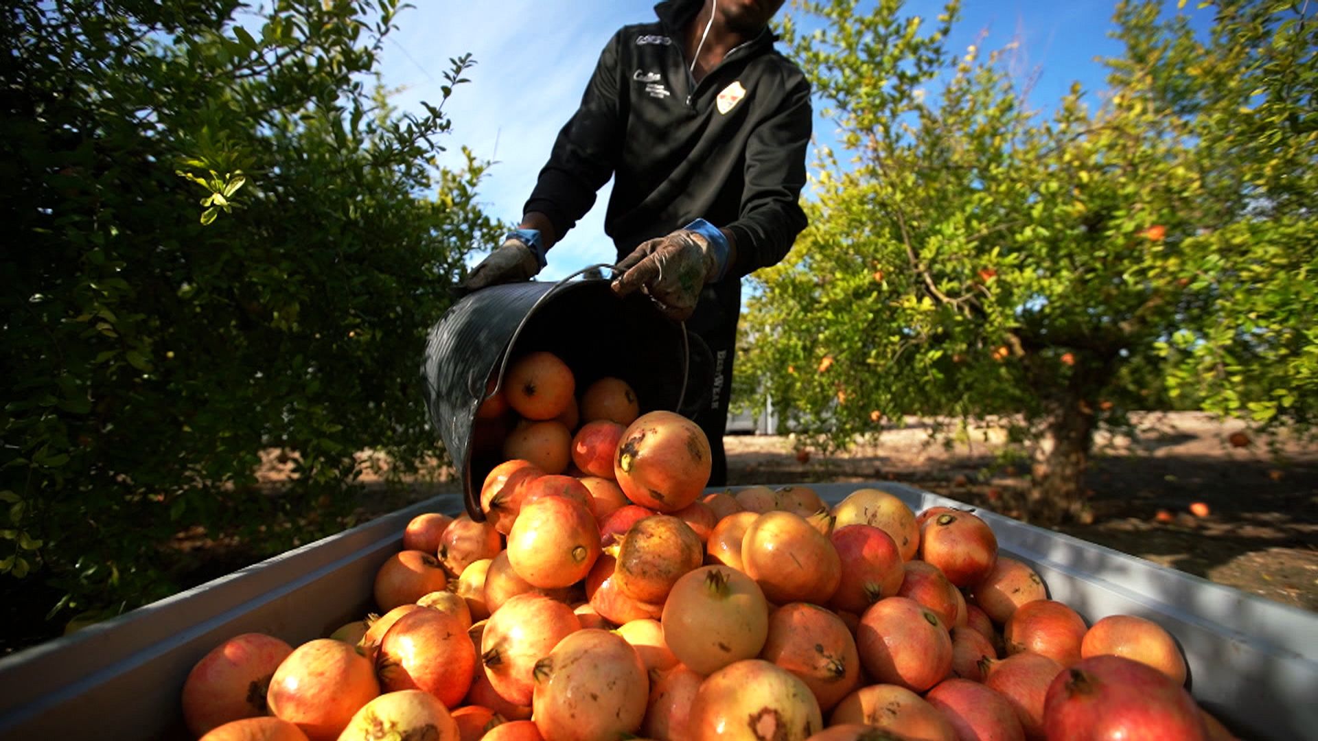 Spain's agricultural revolution: mouth-watering fruit and vegetables ...