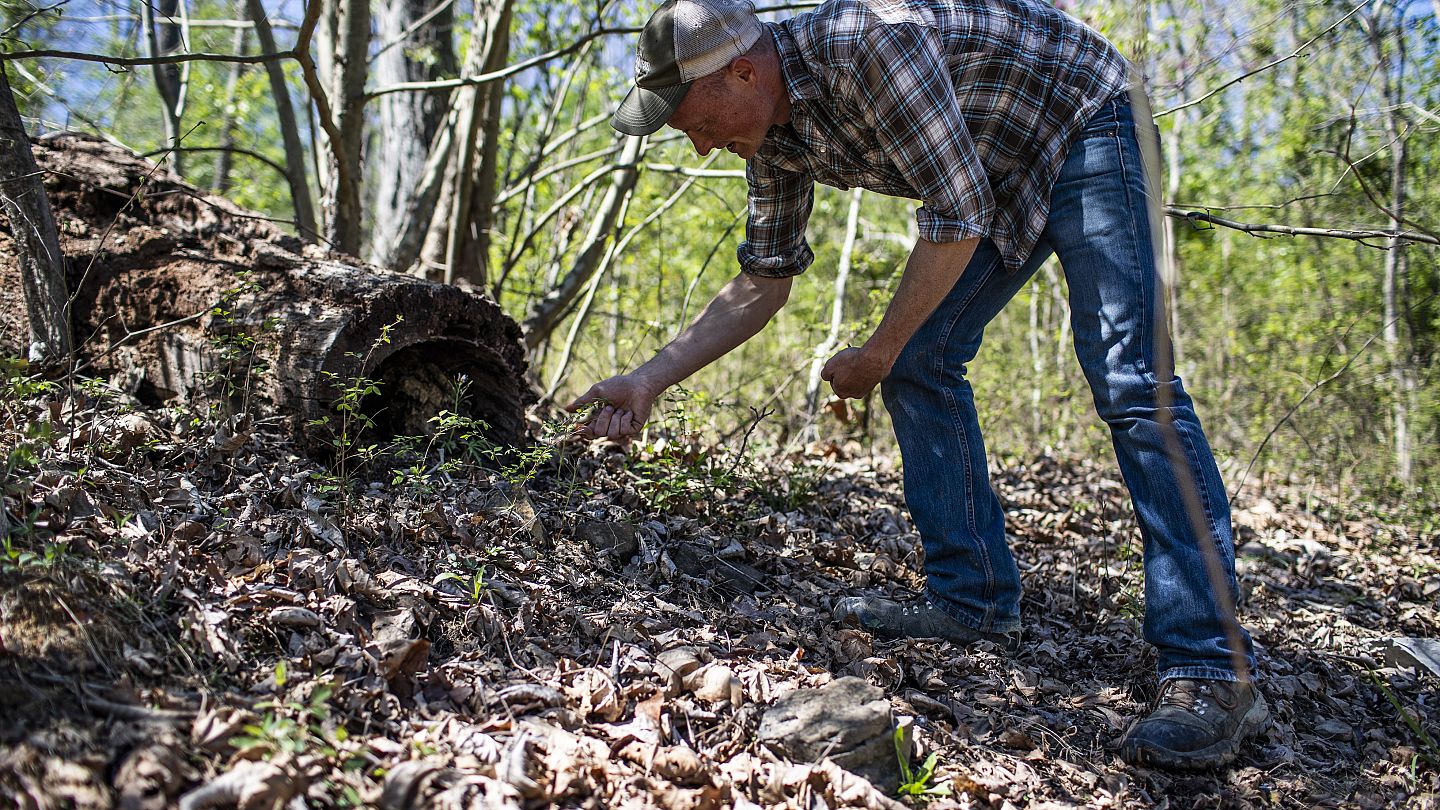 Foraging