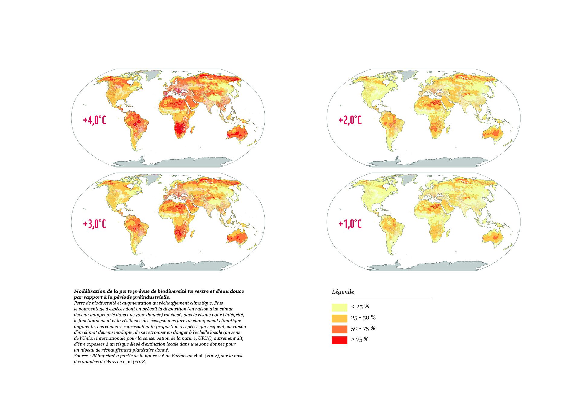 En 50 ans, près de 70% de la faune sauvage a disparu, selon un rapport du WWF | Euronews