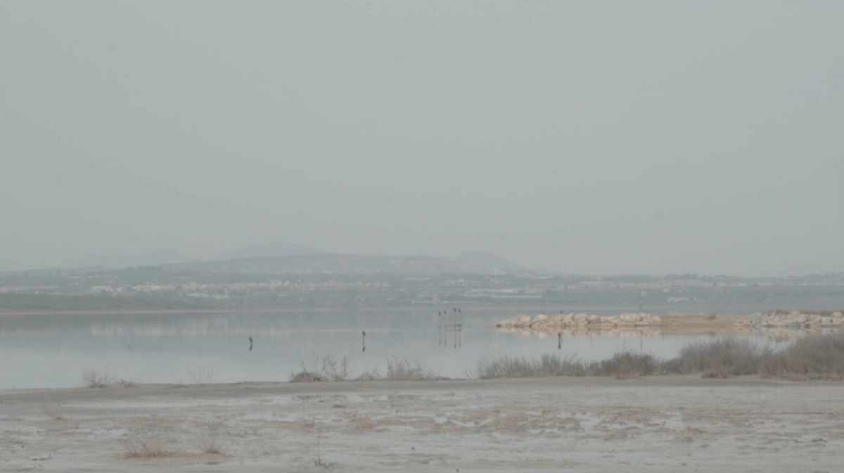 Pink lagoon and flamingoes: the hidden gems of Spain’s Torrevieja ...