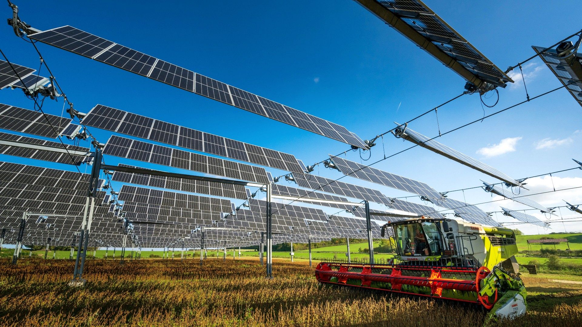French farmers are covering crops with solar panels to produce food and ...