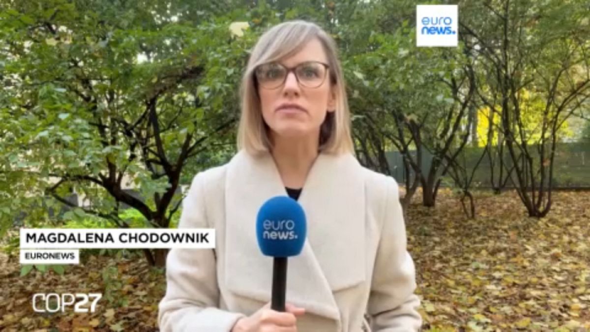 Agroforestazione: un nuovo "antico" sistema, che in Polonia funziona già | Euronews