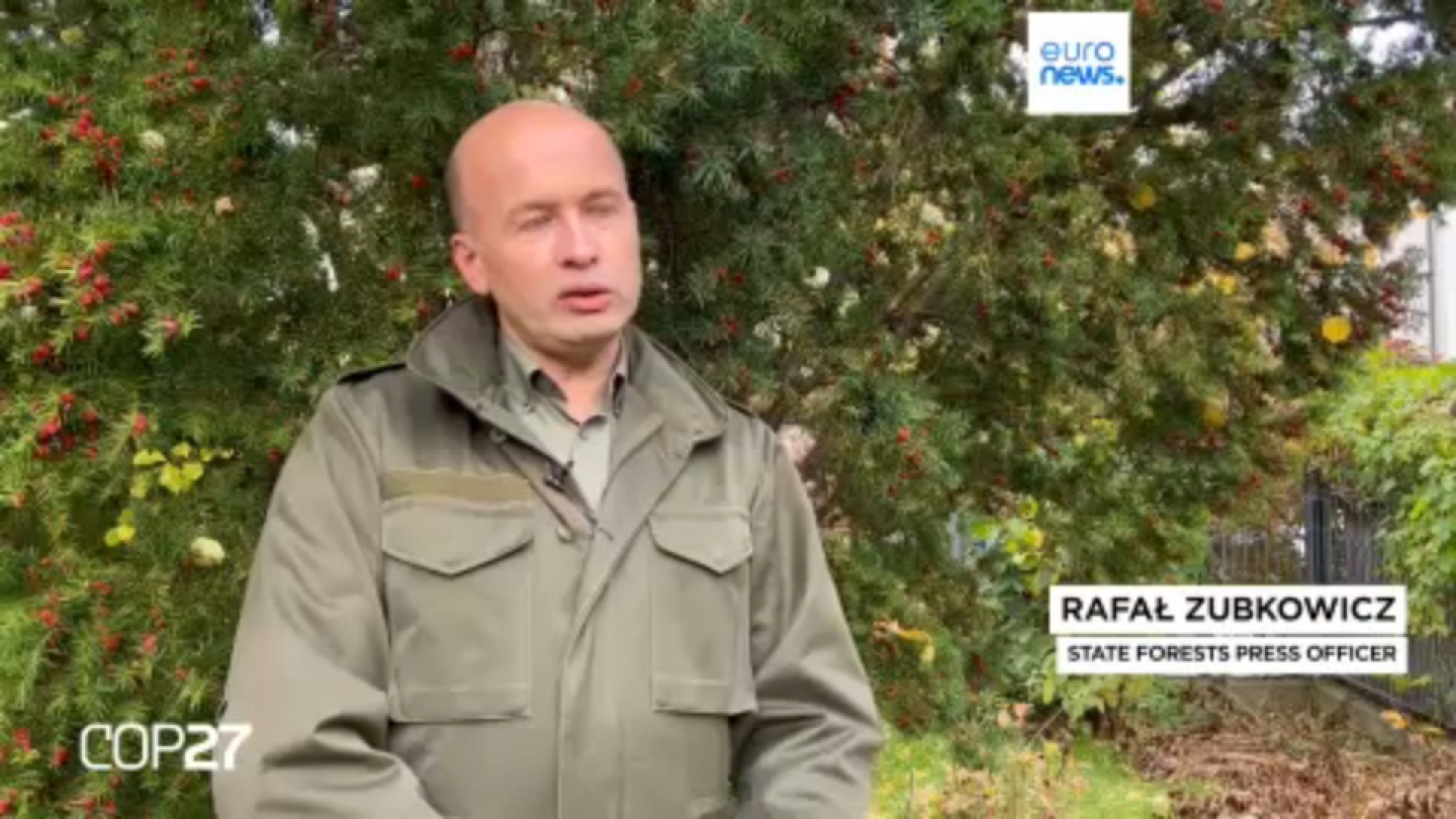 Agroforestazione: un nuovo "antico" sistema, che in Polonia funziona già | Euronews