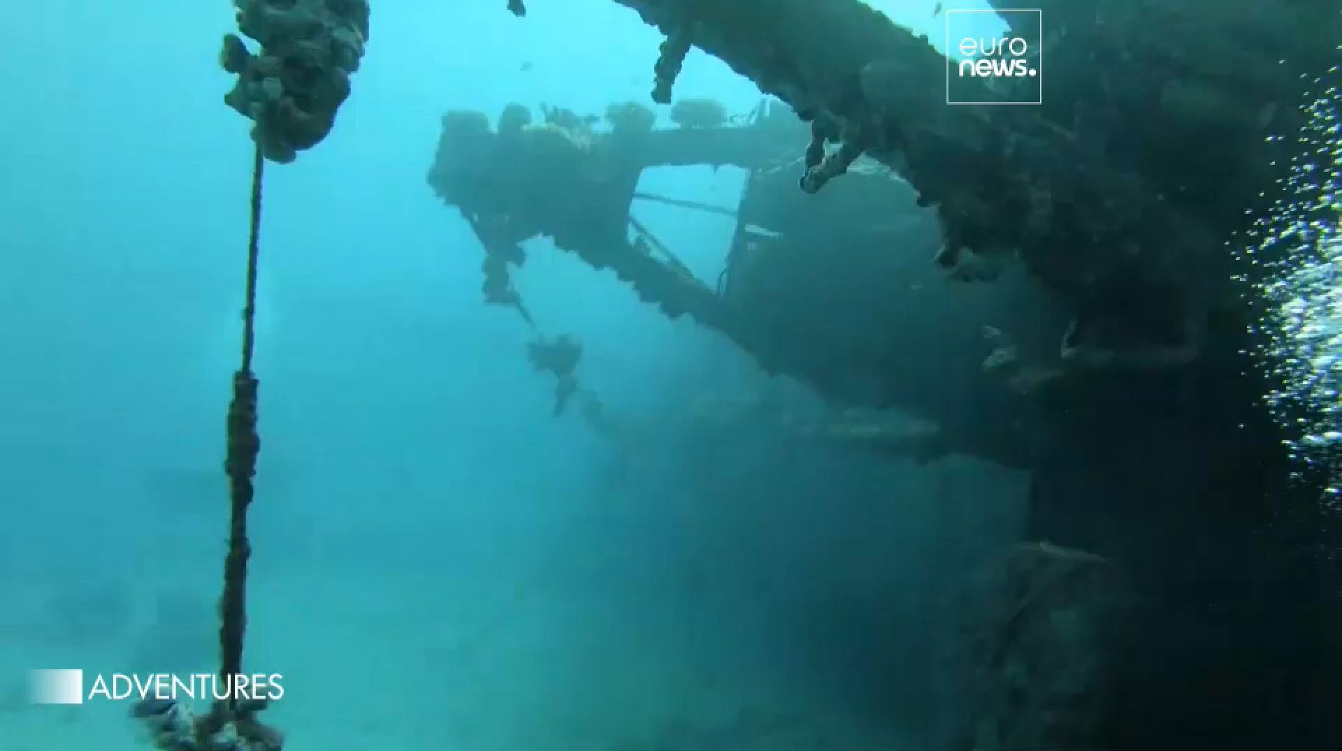 Divers delight in Jeddah's spectacular Red Sea coast | Euronews