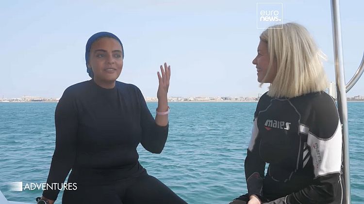 Découvrez la richesse de la vie sous-marine de la mer Rouge avec les ...