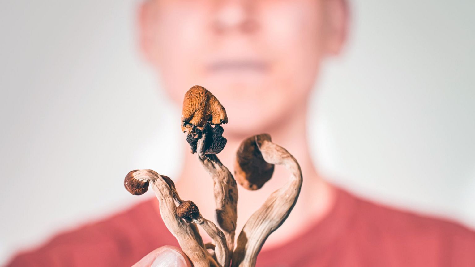 Psilocybin in magic mushrooms ‘significantly reduces’ symptoms of ...