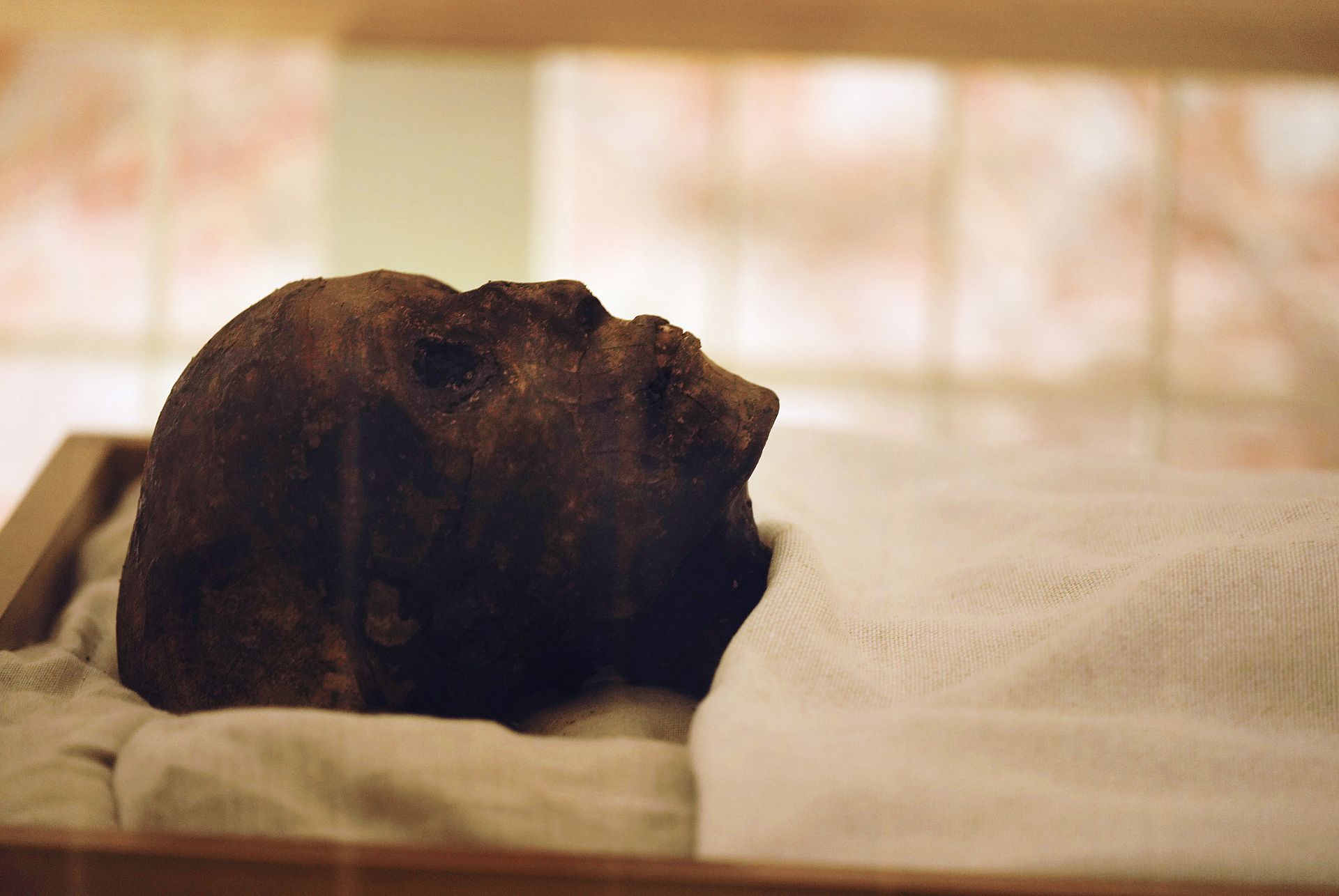 The tomb that changed the world: 100 years on from the discovery of ...