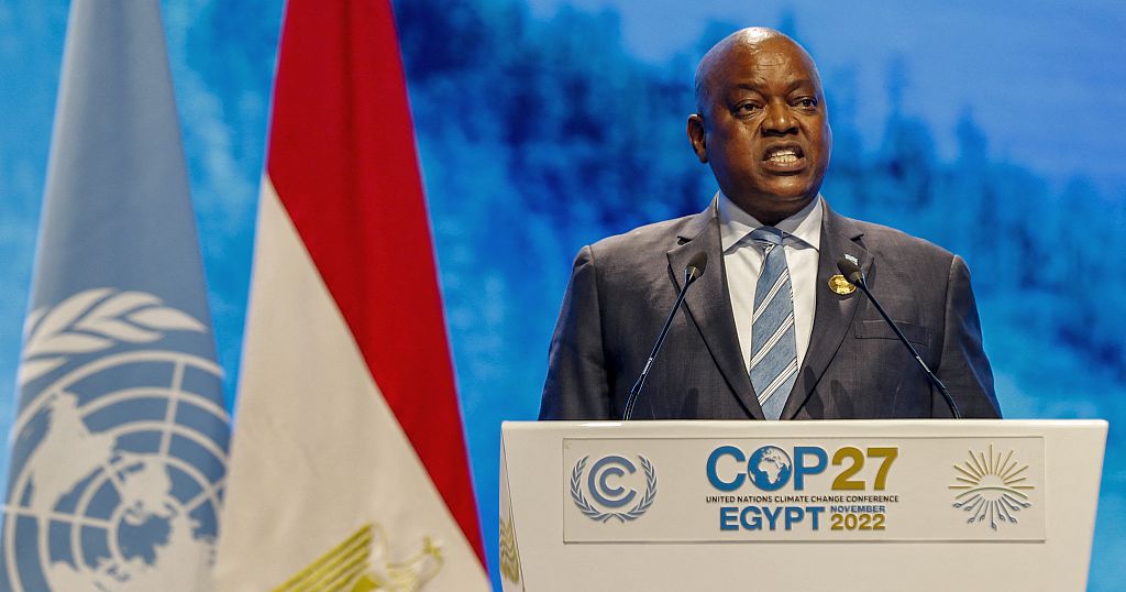 Leaders at COP27 talk adaptation, loss and damage | Africanews
