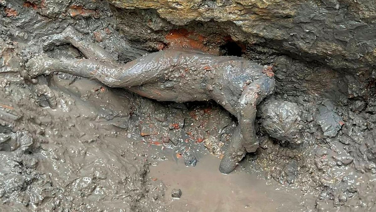 How the discovery of these ancient bronze Italian sculptures will ...