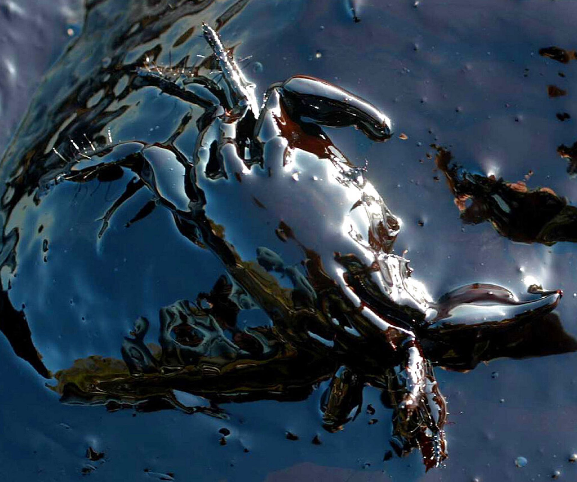 20 años del Prestige: Así fue la mayor crisis medioambiental de España ...