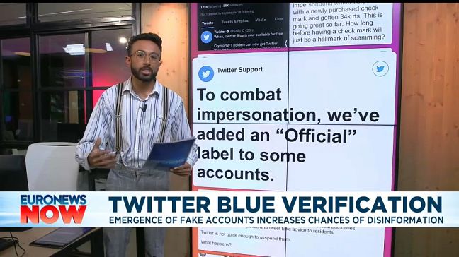 Twitter’s blue tick comes under increasing pressure from fake accounts ...