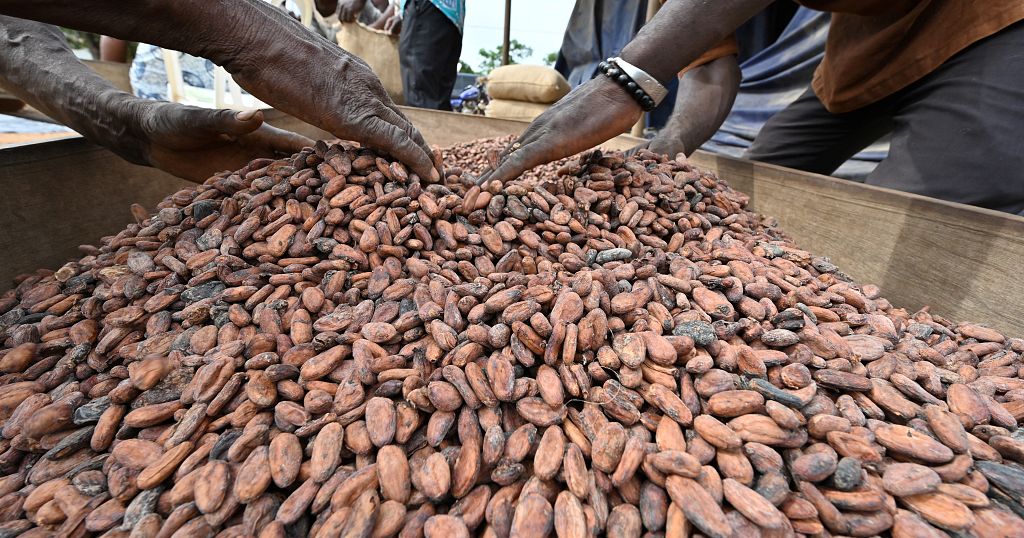 Côte d'Ivoire : le réchauffement climatique menace la production de ...