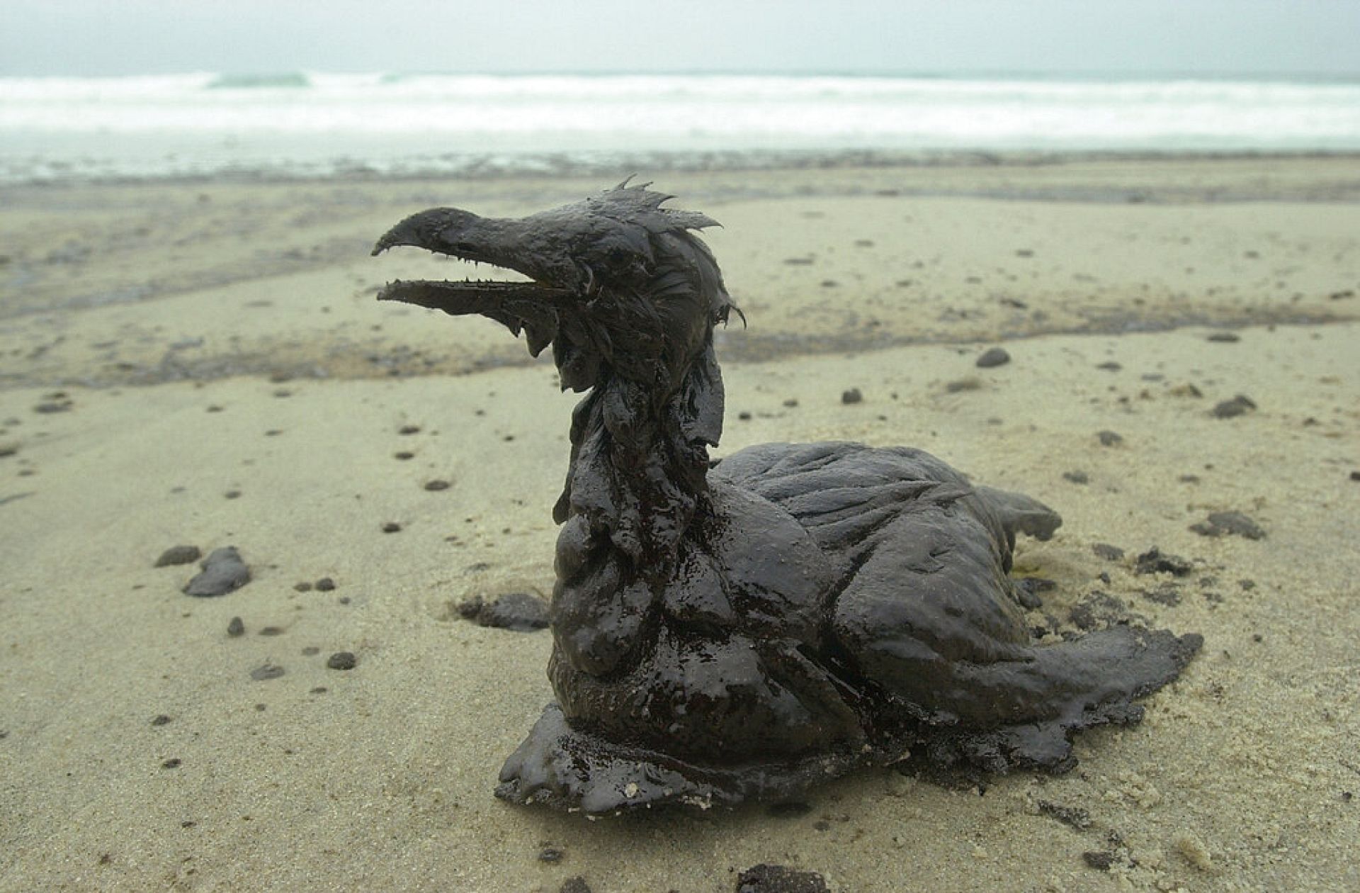 Spain's biggest environmental disaster: The Prestige oil spill 20 years ...