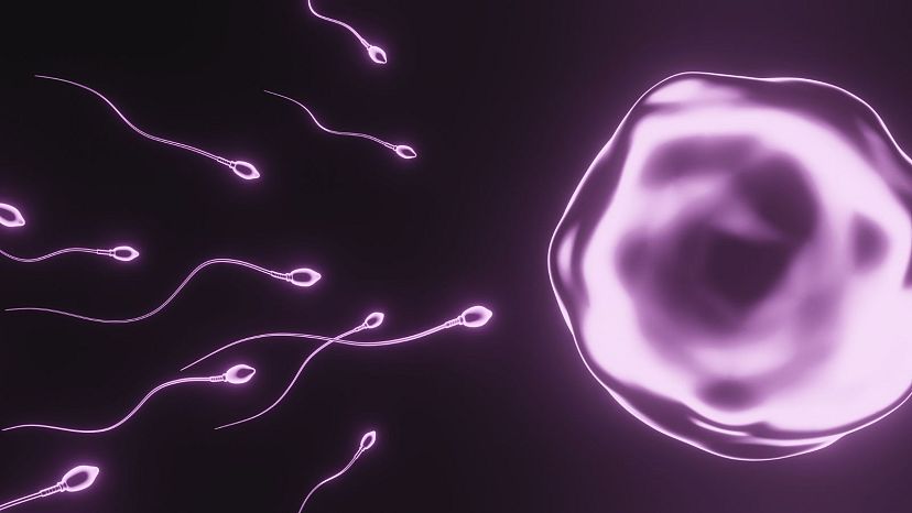 Sperm count drop is accelerating worldwide and threatens the future of ...