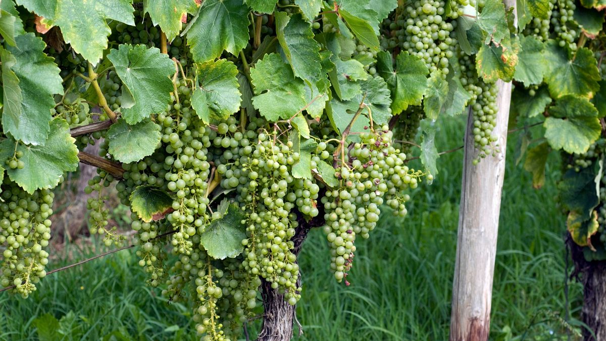 Hungary: These are the most underrated places outside of Budapest ...