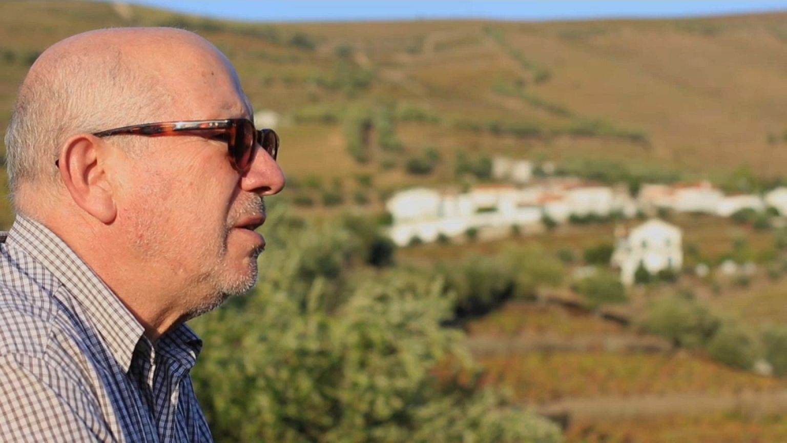 Morreu o pintor Francisco Laranjo, ex-diretor da Faculdade de Belas ...