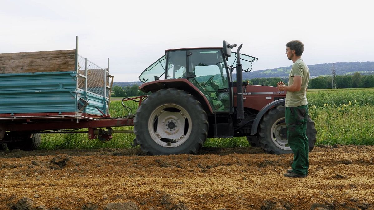 Inside the land lab: The young Swiss farmers making better soil for ...