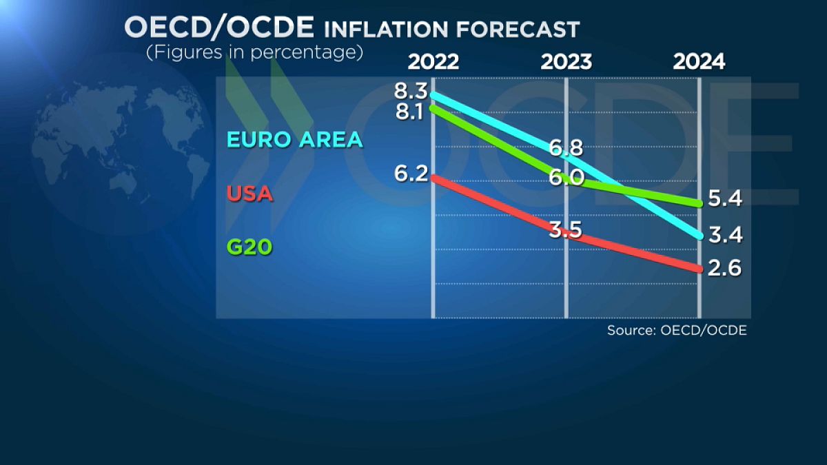 More trouble ahead for the global economy, OECD predicts | Euronews