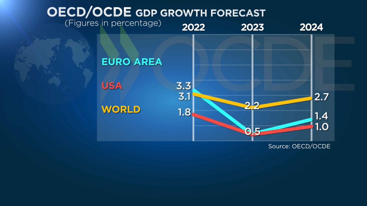 More trouble ahead for the global economy, OECD predicts | Euronews