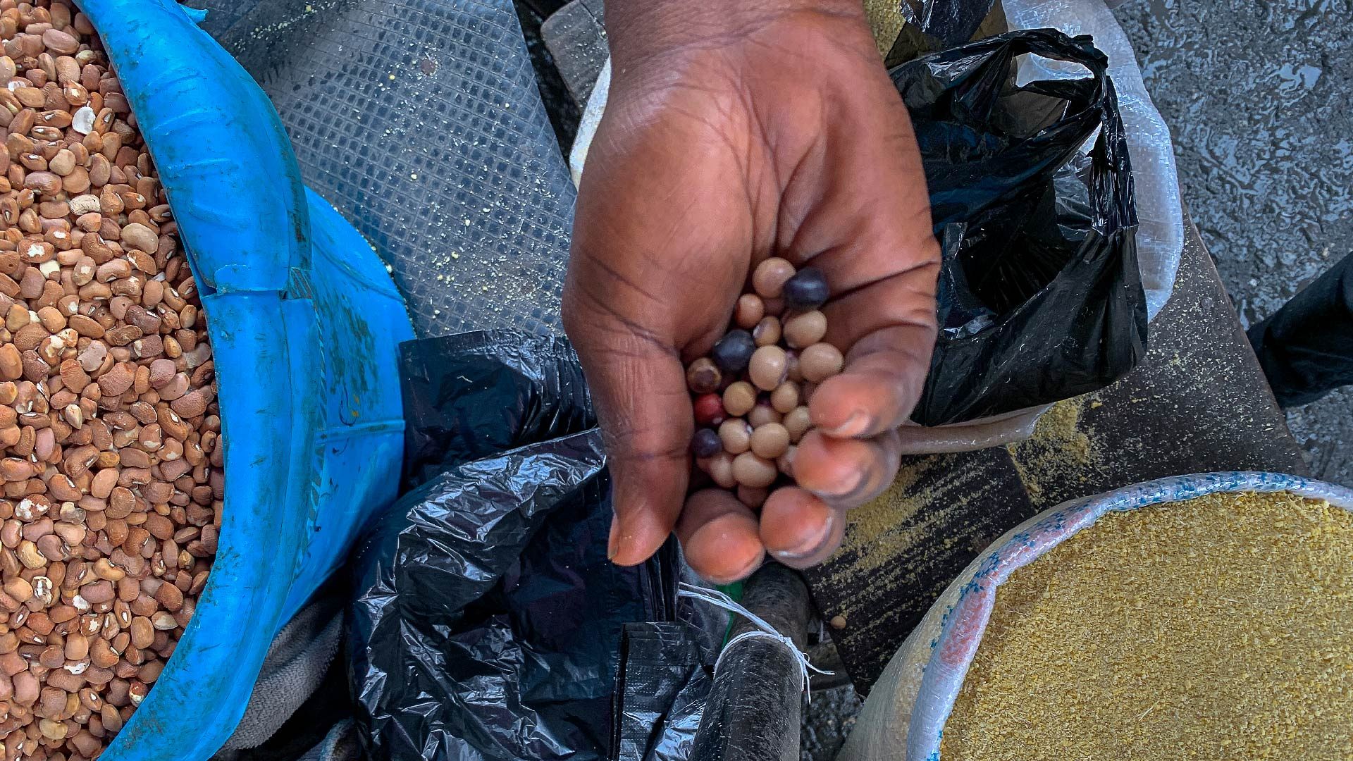 Podcast | Cooking with Bambara Groundnut - an indigenous, African ...