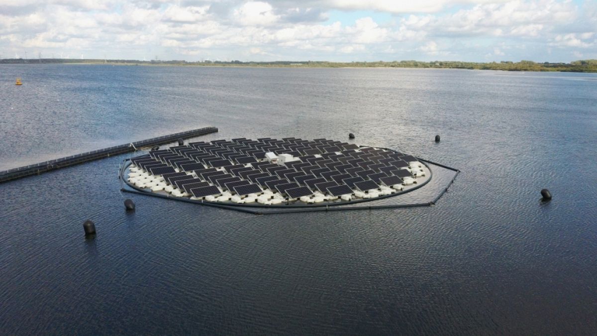Chasing the sun: Dutch floating solar farm tracks sun’s rays to absorb more energy | Euronews