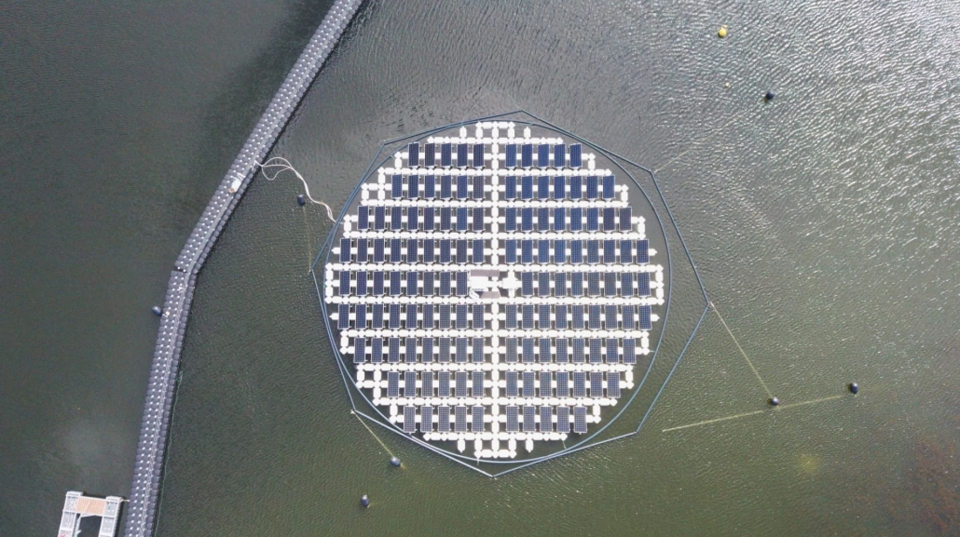 Chasing the sun: Dutch floating solar farm tracks sun’s rays to absorb ...