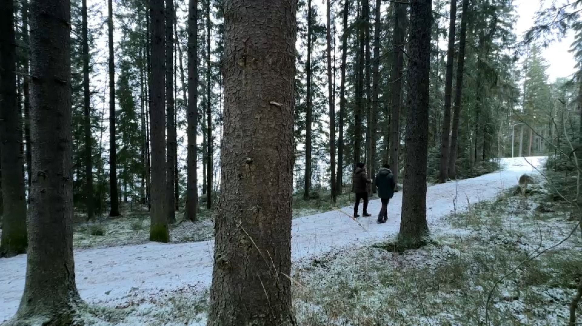 Apuesta por la energía nuclear en Finlandia para no depender de los ...
