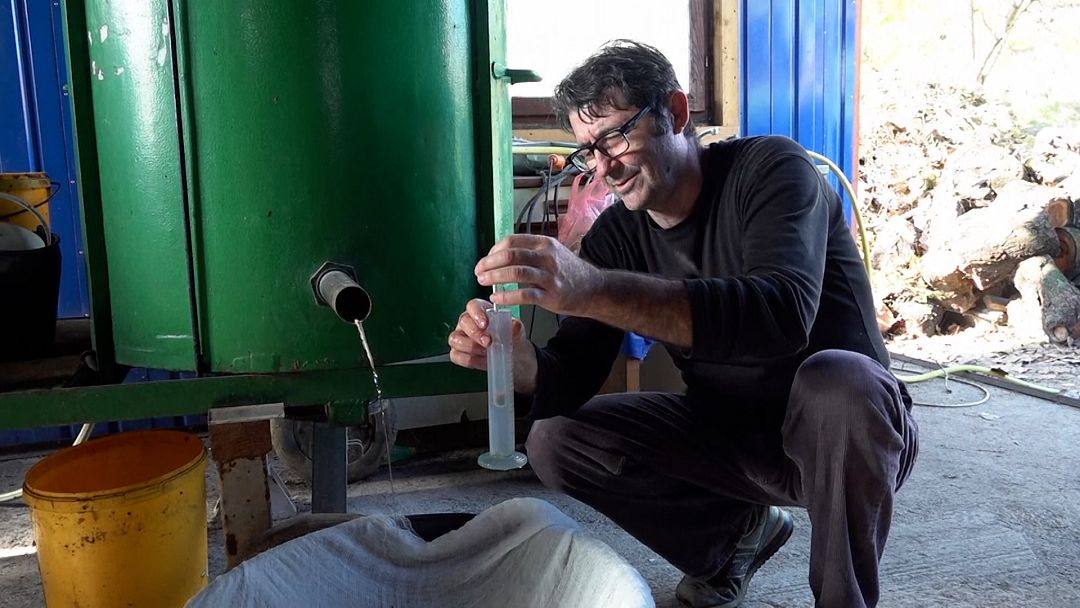 Will local Serbian plum brandy 'sljivovica' make the UNESCO List ...