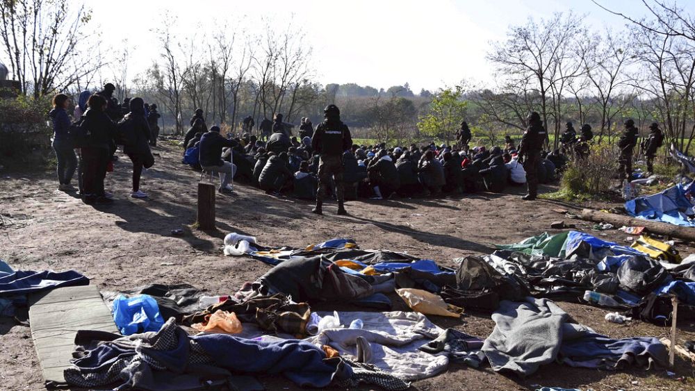 Hochgesicherte Grenze in Serbien: Migranten wollen in die EU | Euronews