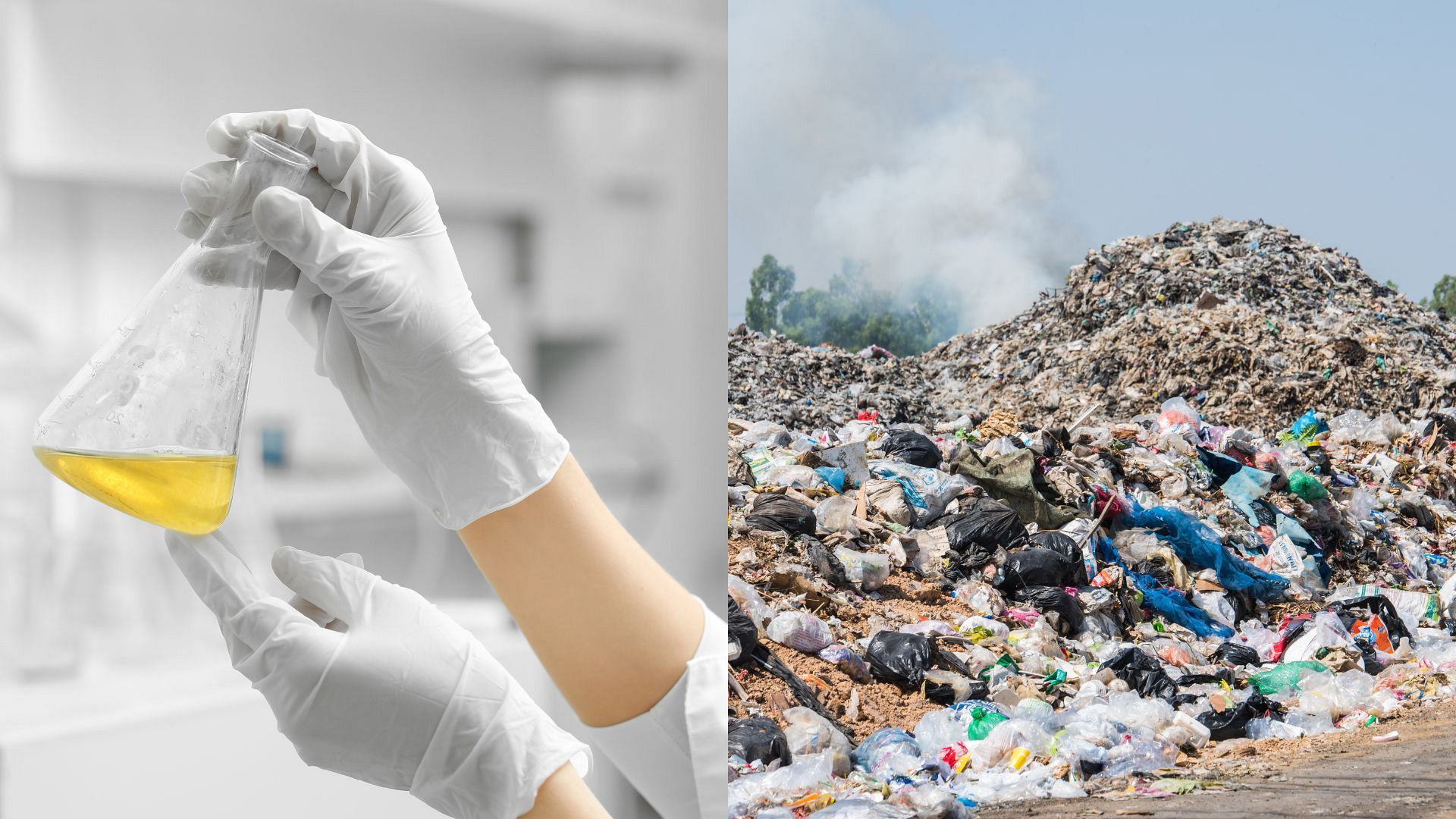 SHEIN: Fast fashion giant’s clothes breach EU chemical regulations ...