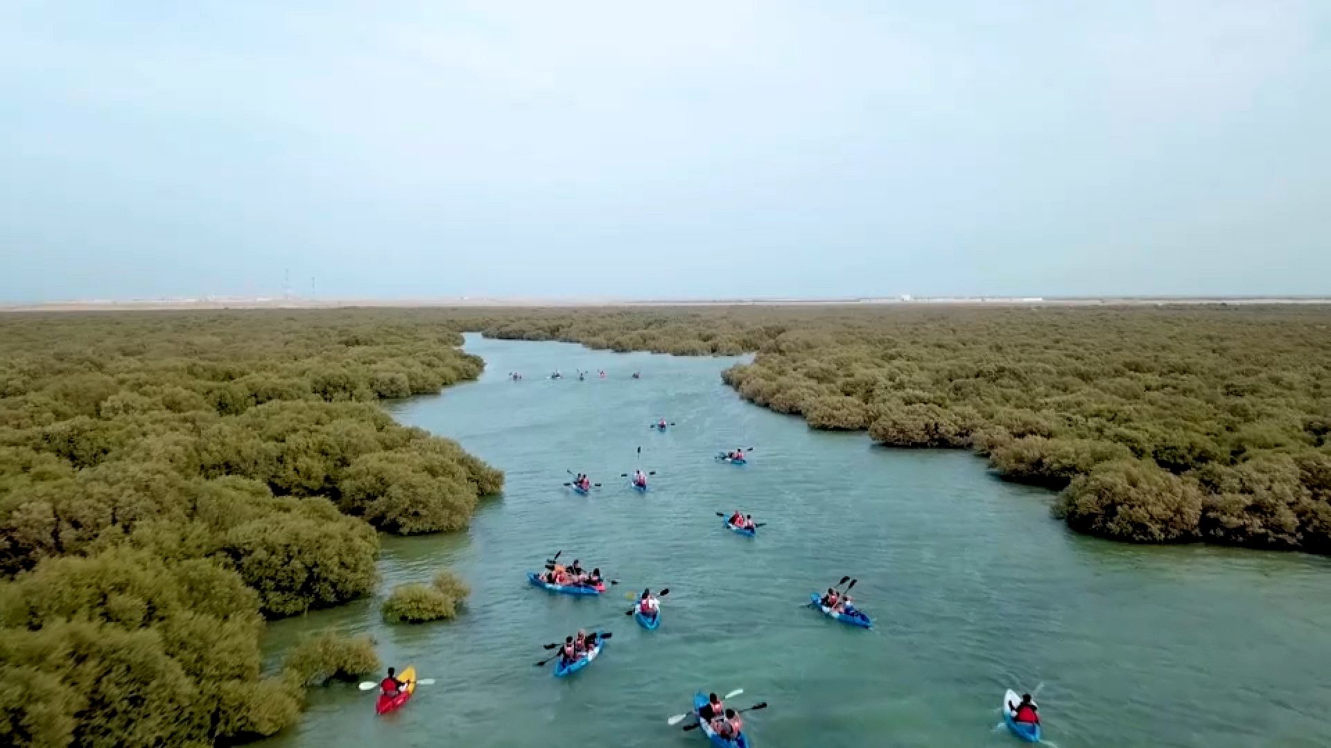 Lo mejor de Catar en 2022: una celebración de la naturaleza, la música ...